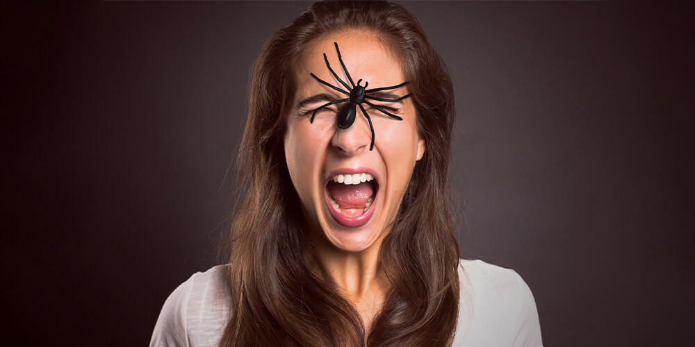 Why are people afraid of spiders? | Wilson Control